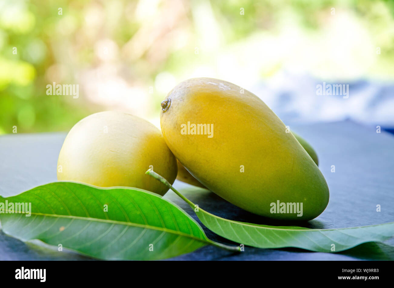 Table Of Mangoes High Resolution Stock Photography and Images - Alamy