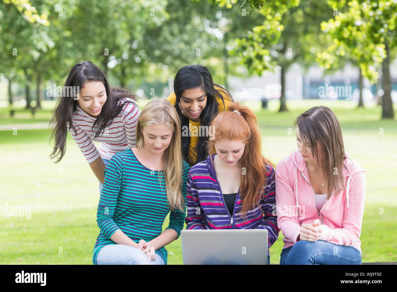 Group of young college girls using laptop in the park Stock Photo - Alamy