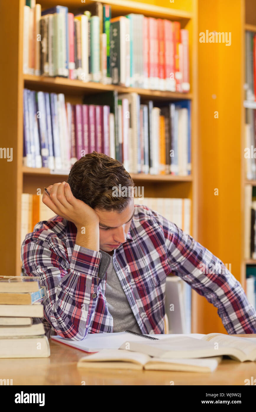 University student revising library hi-res stock photography and images ...