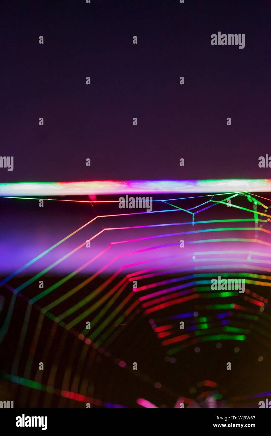 Bright ultra colored spider web or cobweb on a dark background ...