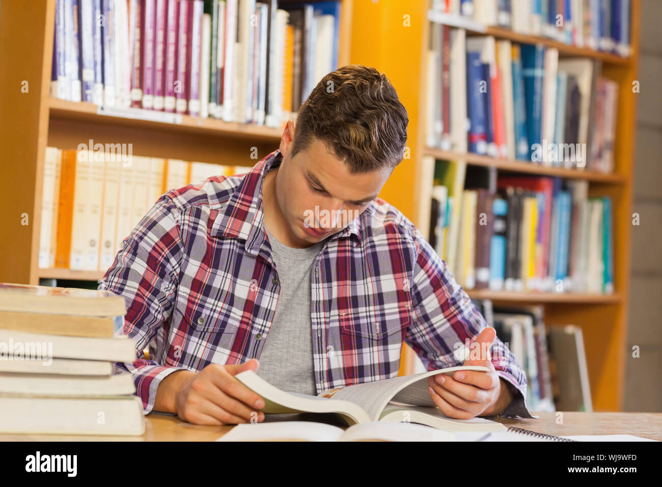 Handsome calm student studying his books in library Stock Photo - Alamy