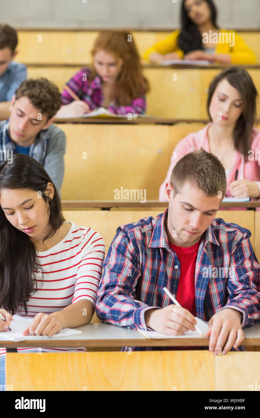 Concentrating students sitting at the lecture hall while writing Stock ...