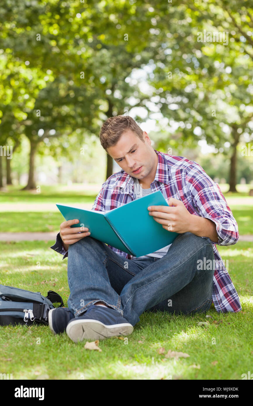 Handsome focused student sitting on grass studying on campus at college ...