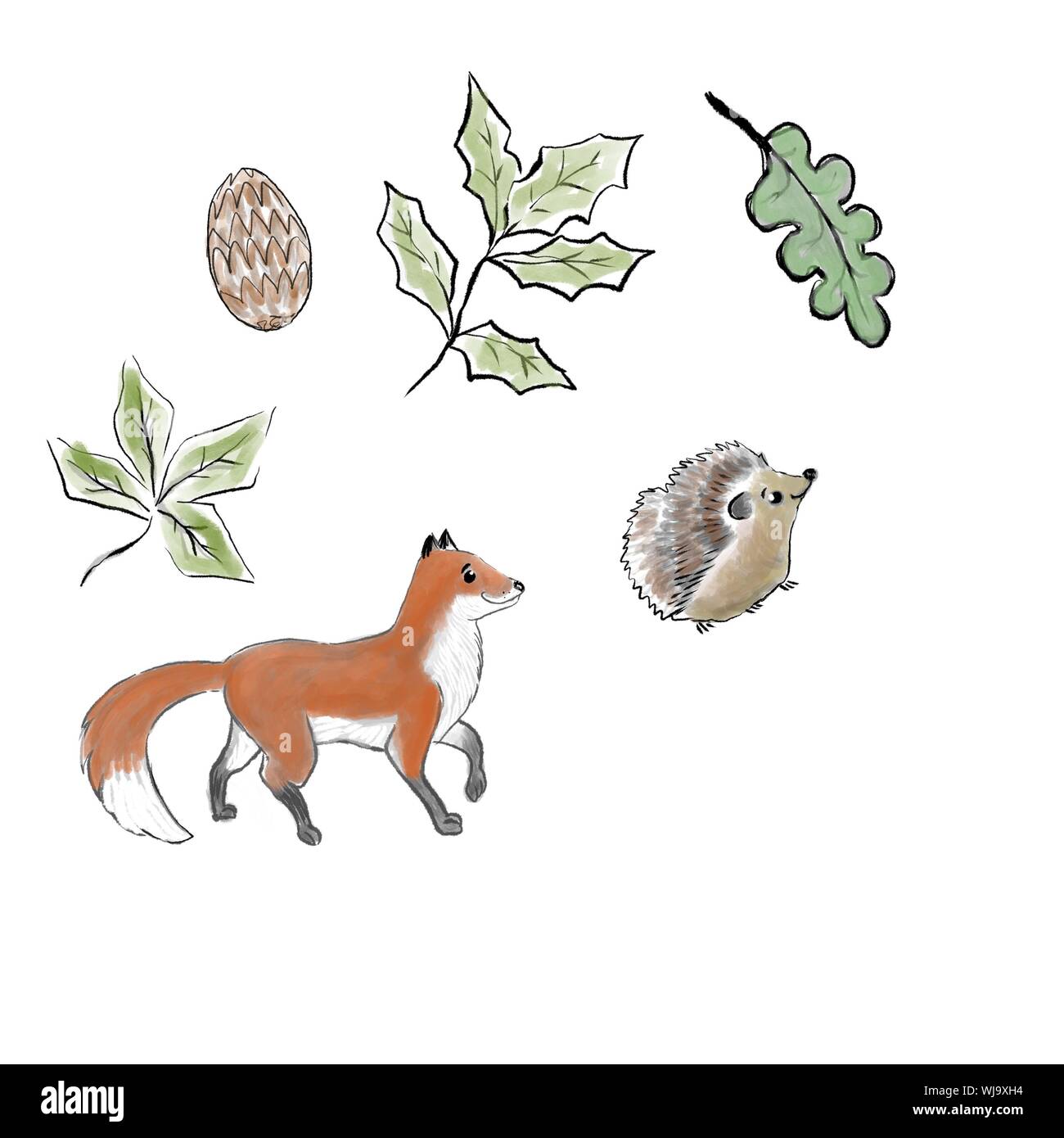 Illustrations Fox High Resolution Stock Photography and Images - Alamy