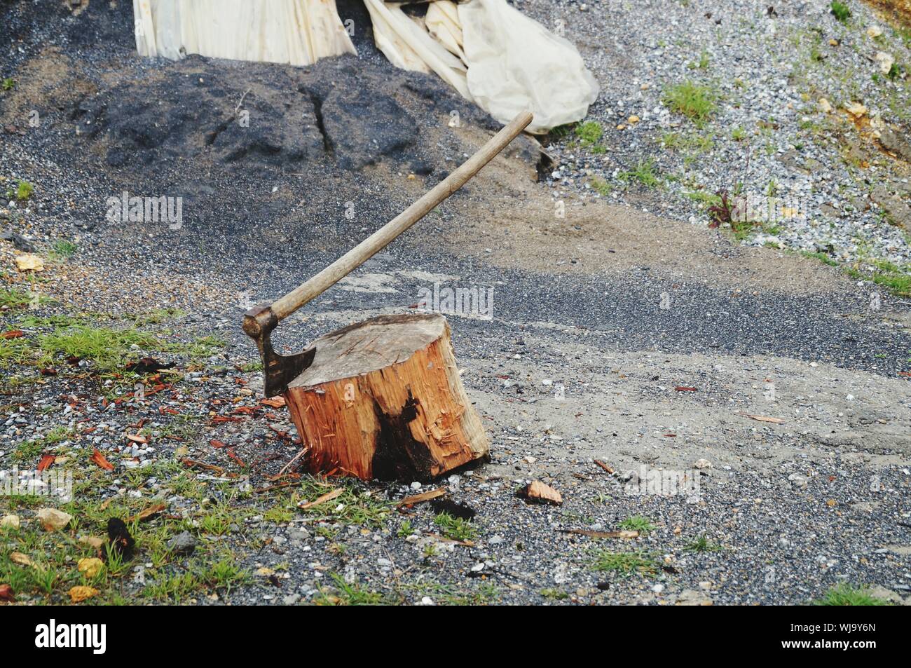 Hand axe and log hi-res stock photography and images - Alamy