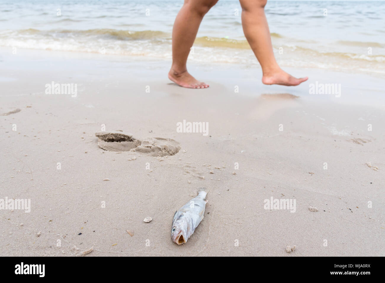 Dead people walking hi-res stock photography and images - Alamy