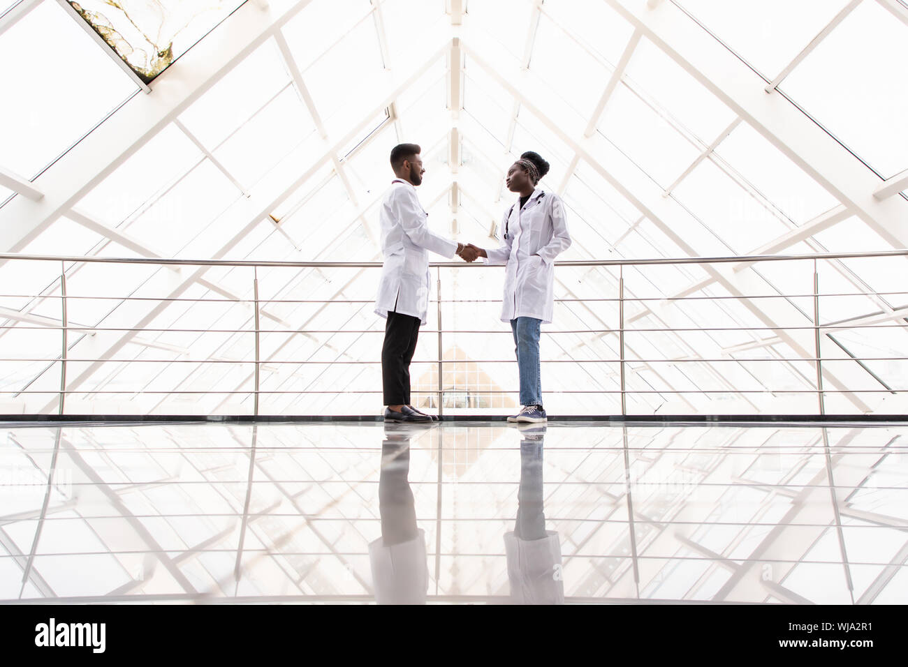 Full body portrait of two medical people handshaking, isolated on white ...