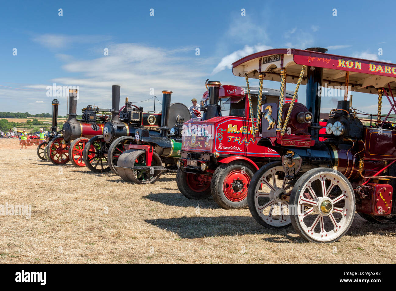A line-up of assorted traction engines, steam wagon and road rollers at ...
