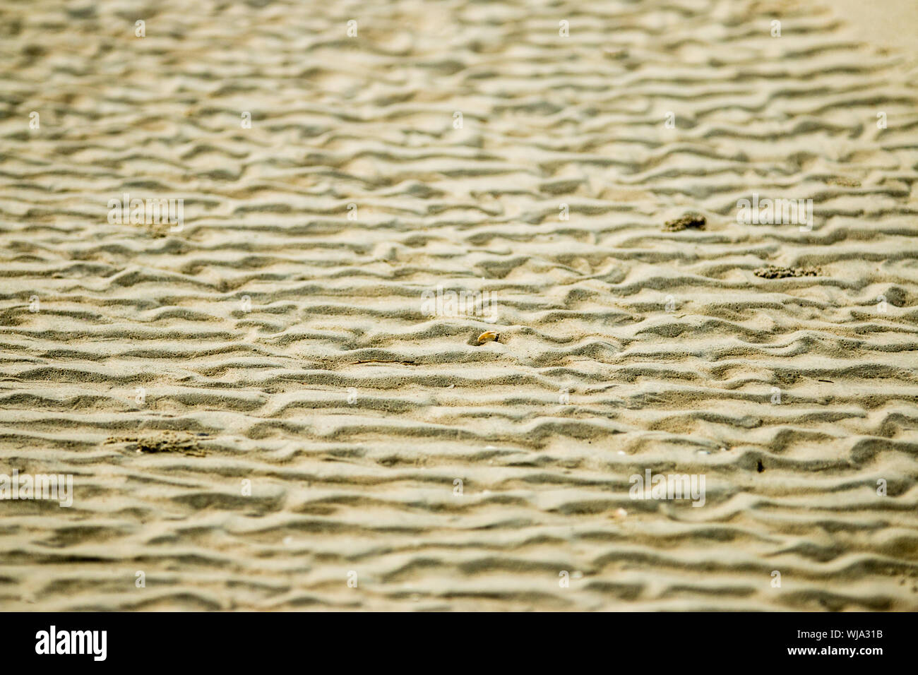 sand pattern on the sandy beach Stock Photo - Alamy
