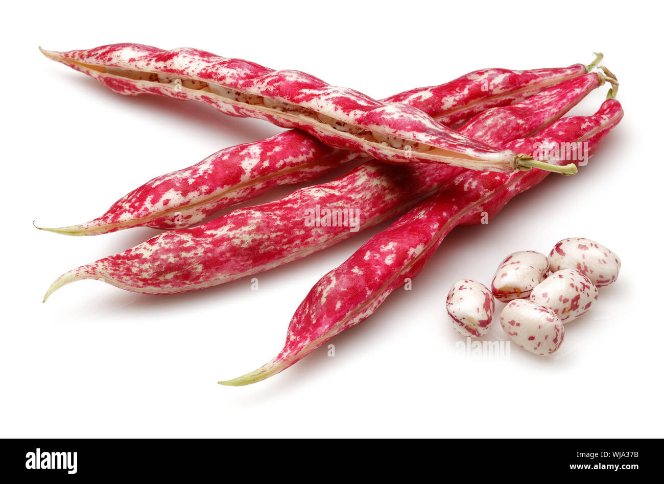 Fresh saluggia bean hi-res stock photography and images - Alamy