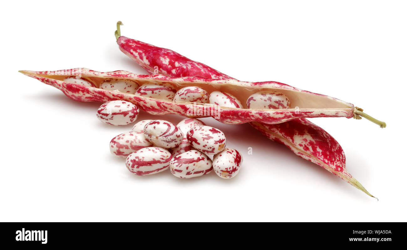 Pinto bean pod hi-res stock photography and images - Alamy