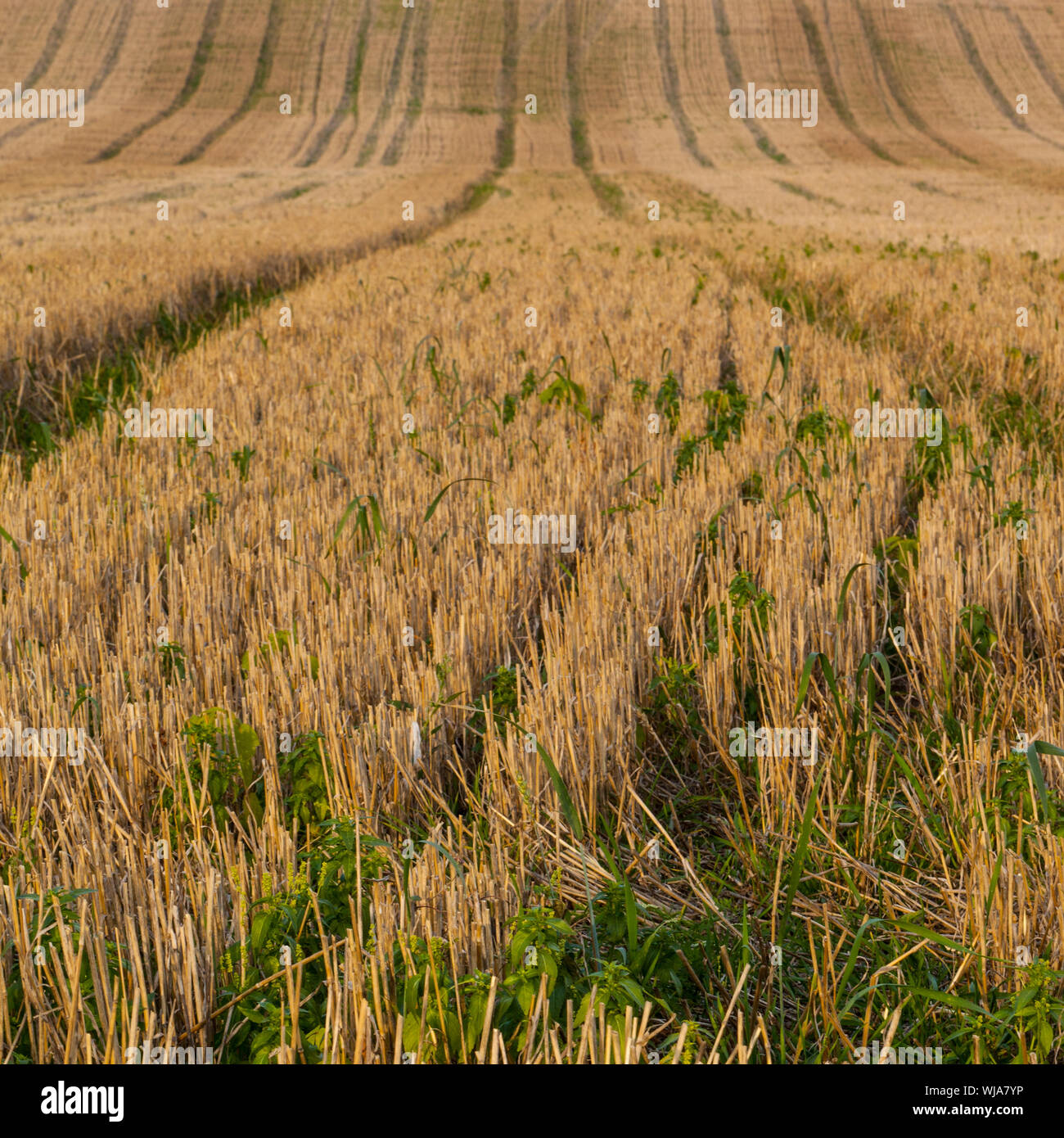Overview of rural fields Stock Photo - Alamy
