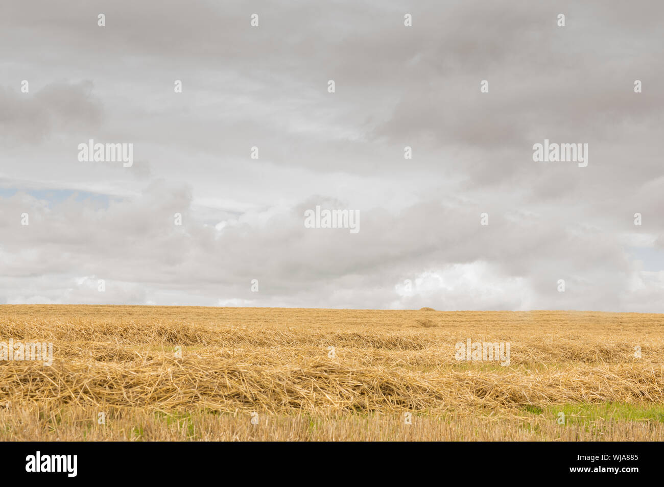 Cloudy countryside background Stock Photo - Alamy