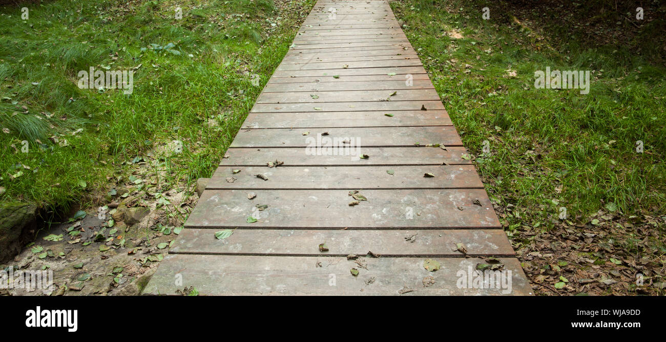 Narrow wooden walkway along grassland Stock Photo - Alamy