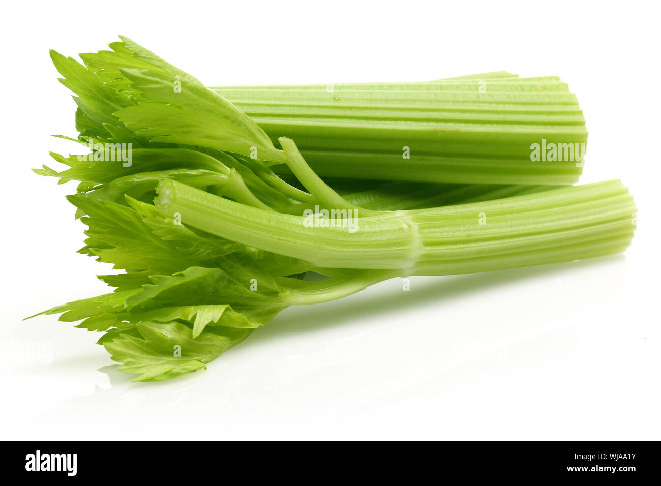 Fresh celery stalks and leaves isolated on white background Stock Photo ...