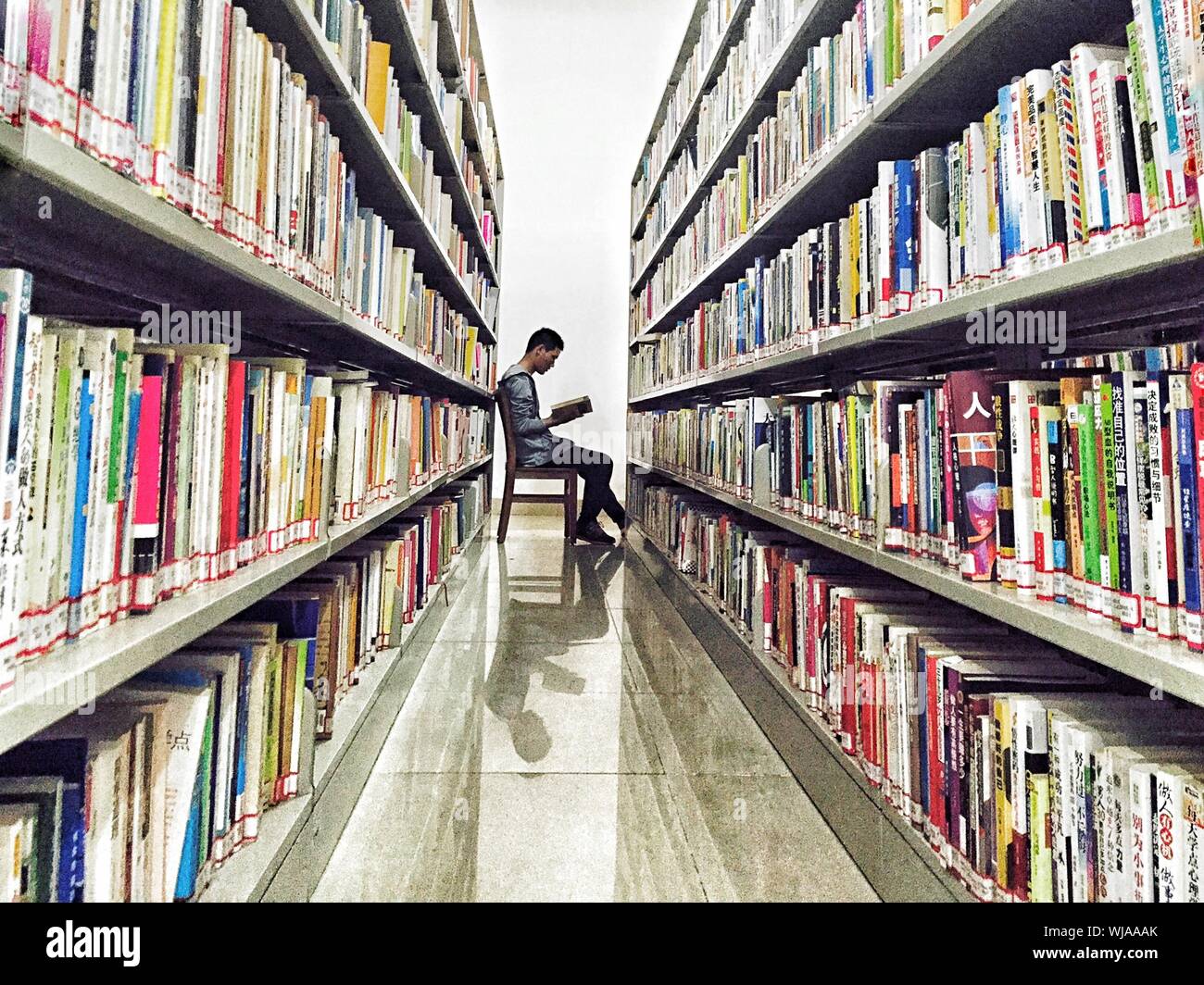 Man in library reading hi-res stock photography and images - Alamy