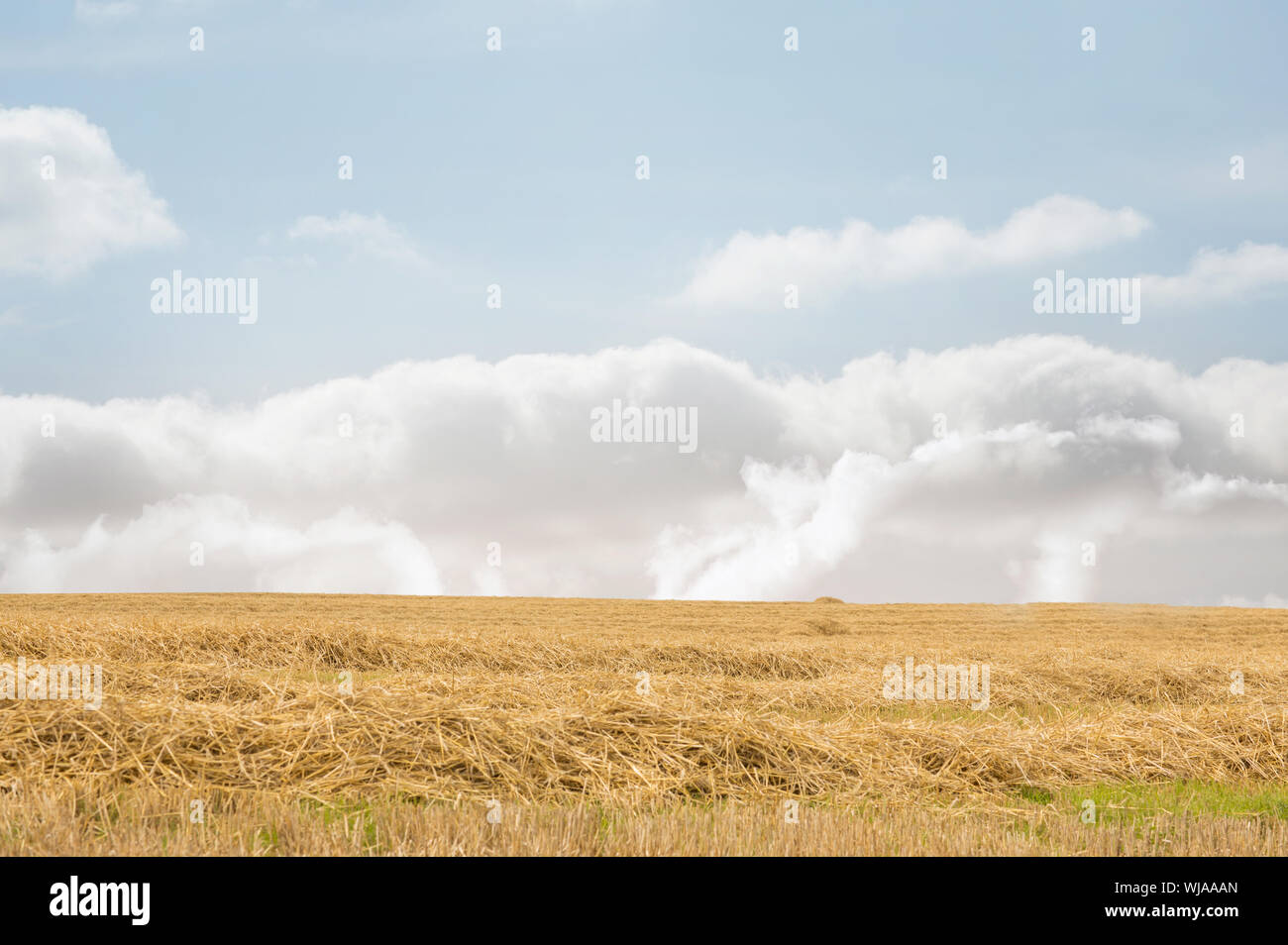 Bright brown landscape Stock Photo - Alamy