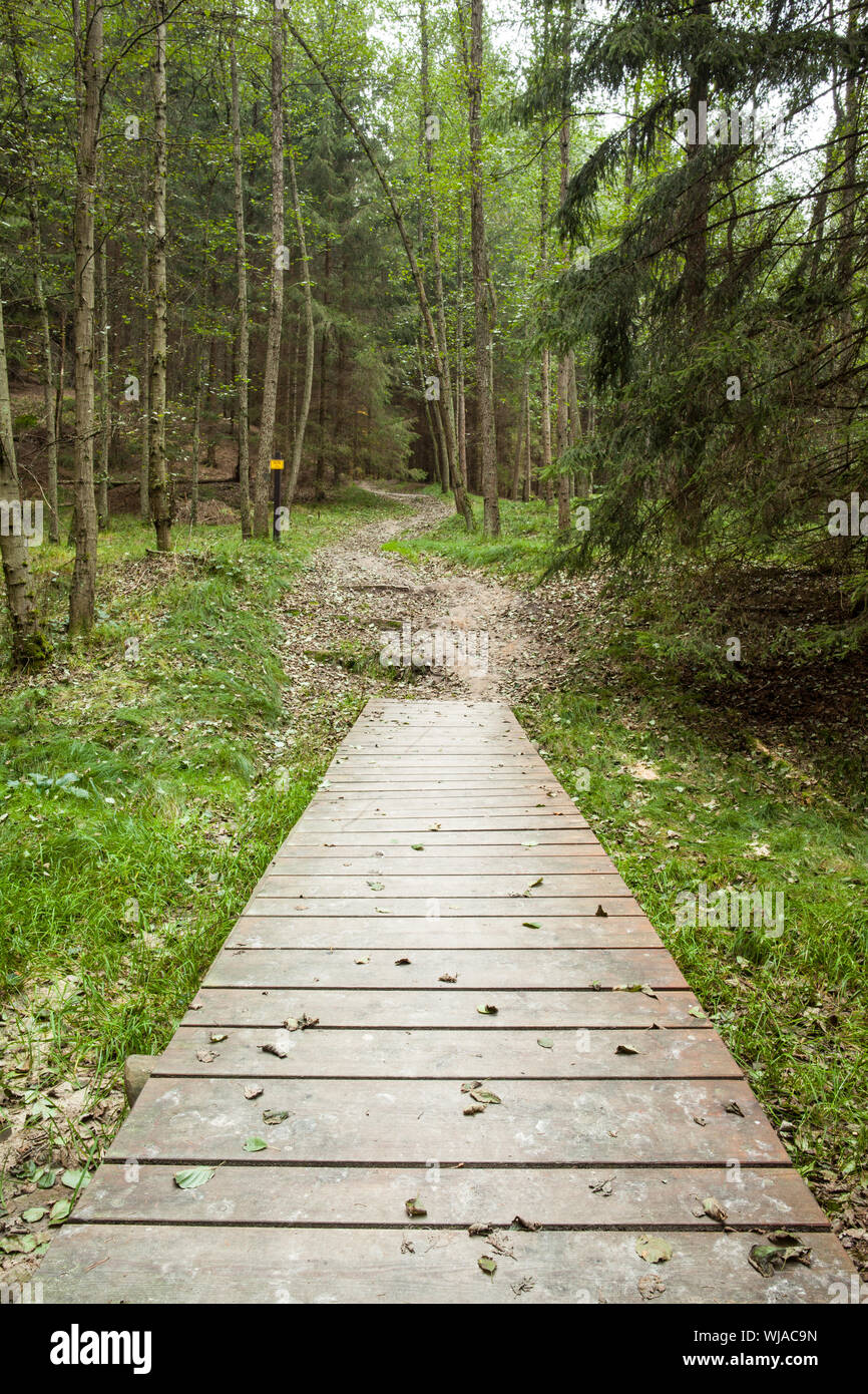 Narrow wooden walkway along lush forest Stock Photo - Alamy