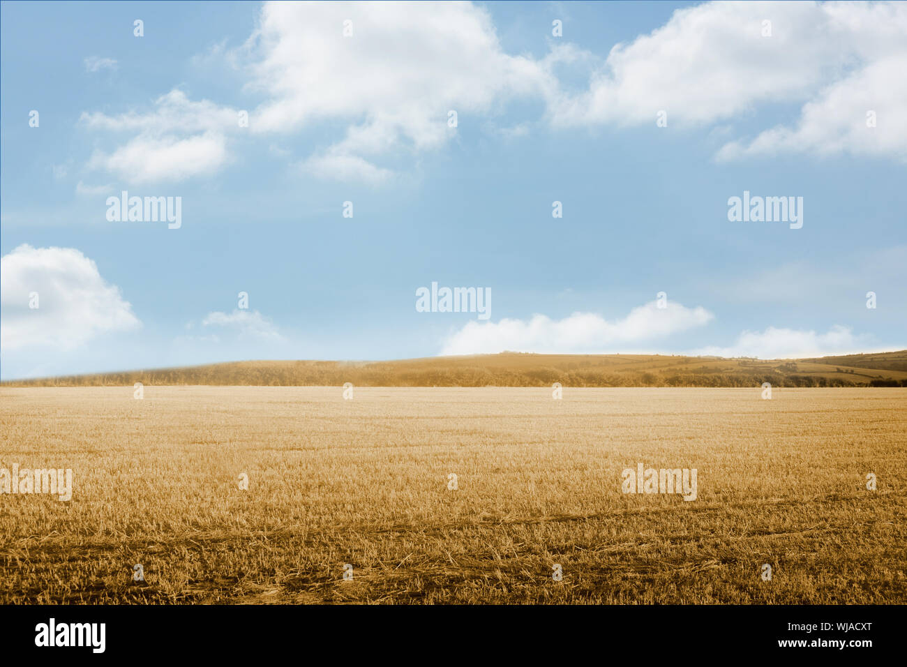 Bright brown landscape Stock Photo - Alamy