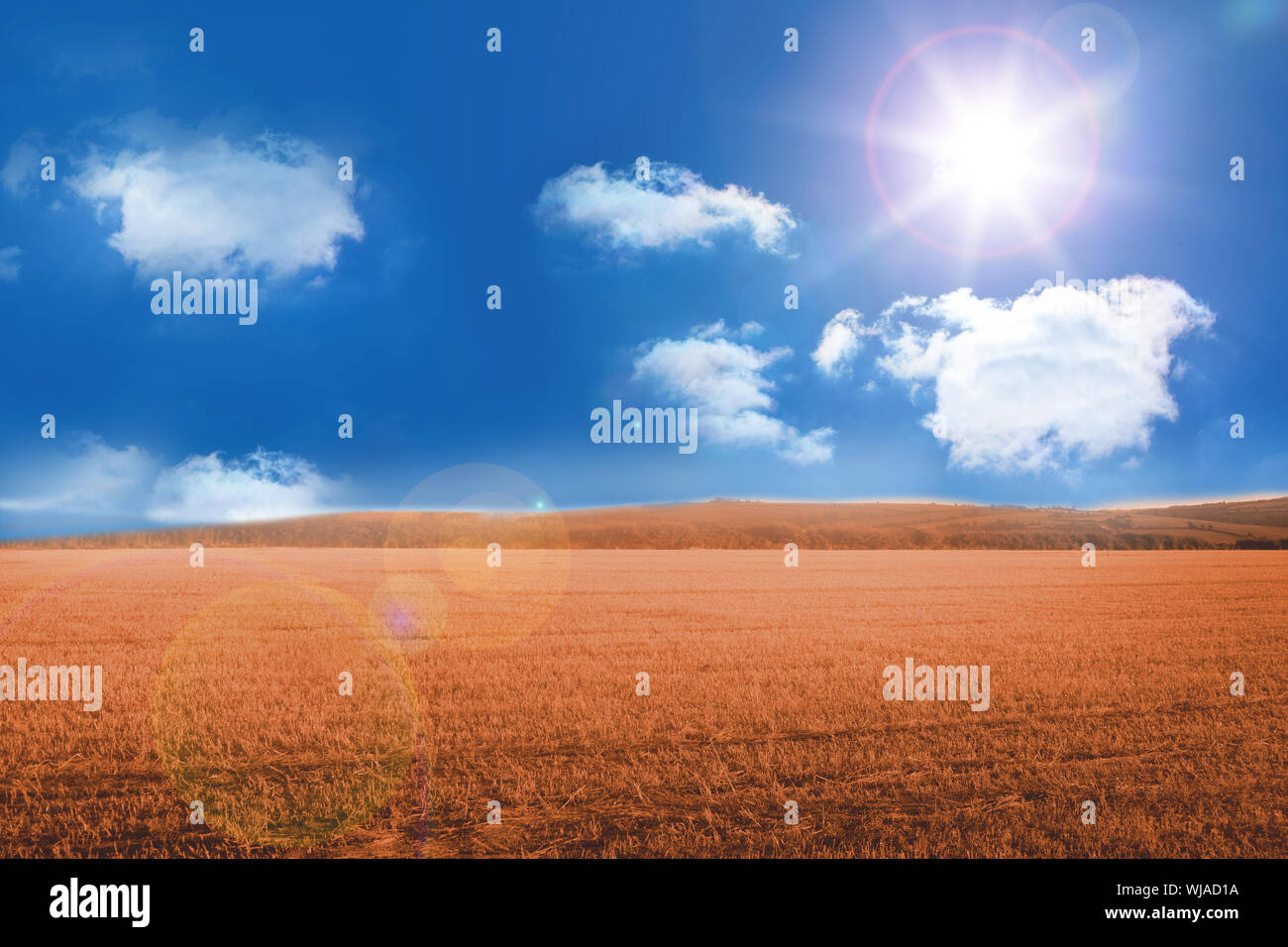 Sunny brown landscape Stock Photo - Alamy