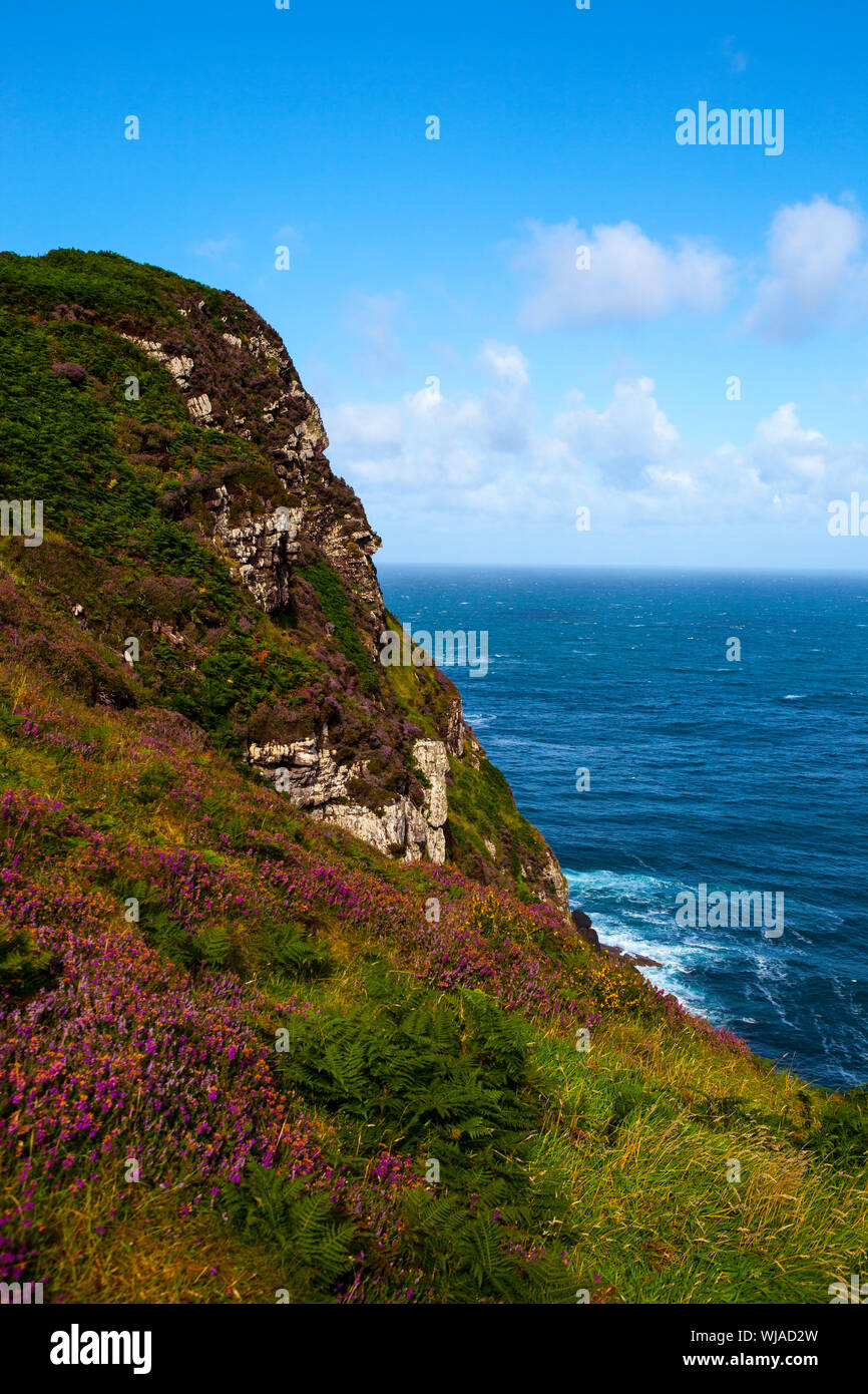 Brandon Point, Dingle Peninsula, Co. Kerry, Ireland Stock Photo - Alamy