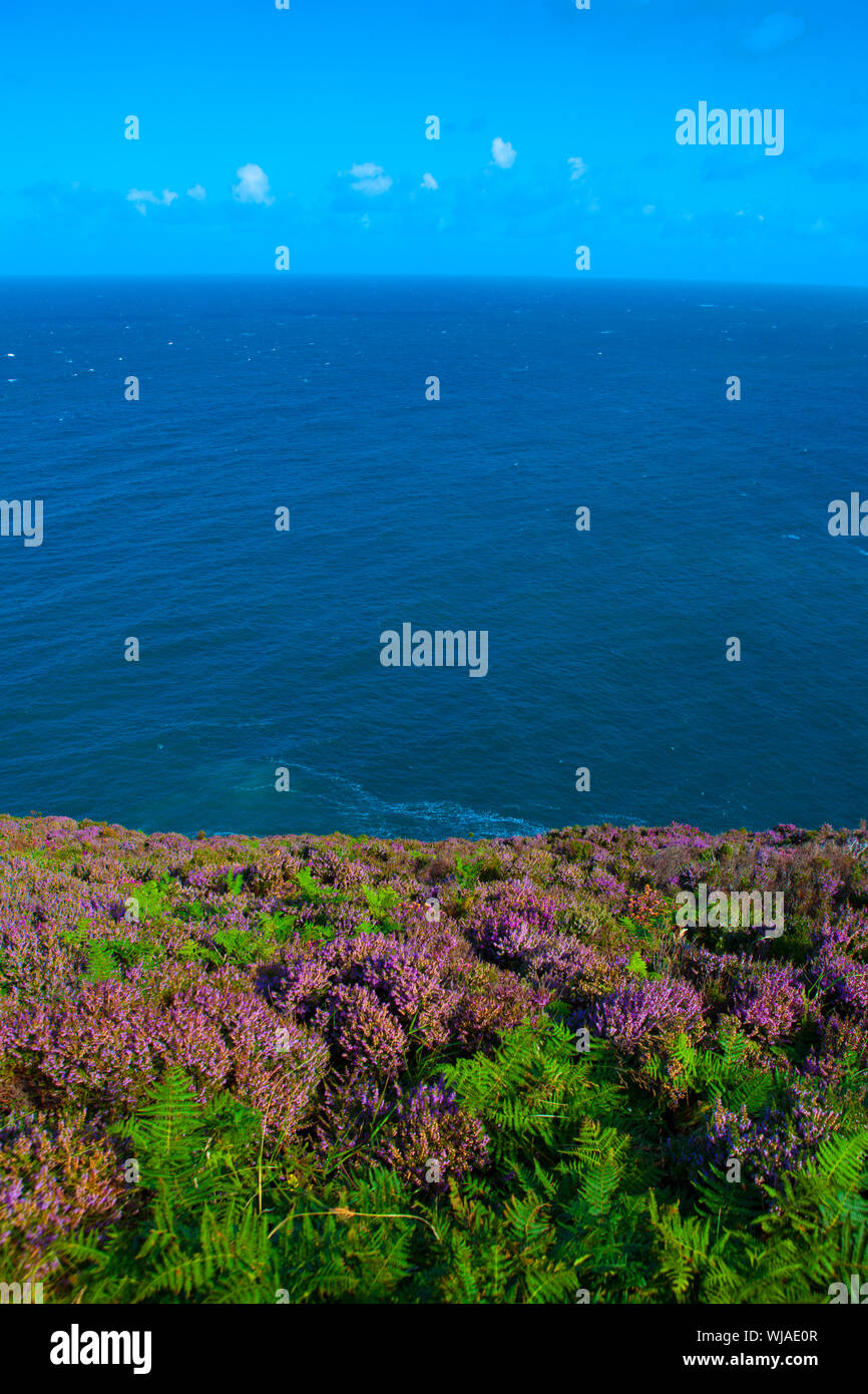 Brandon Point, Dingle Peninsula, Co. Kerry, Ireland Stock Photo - Alamy