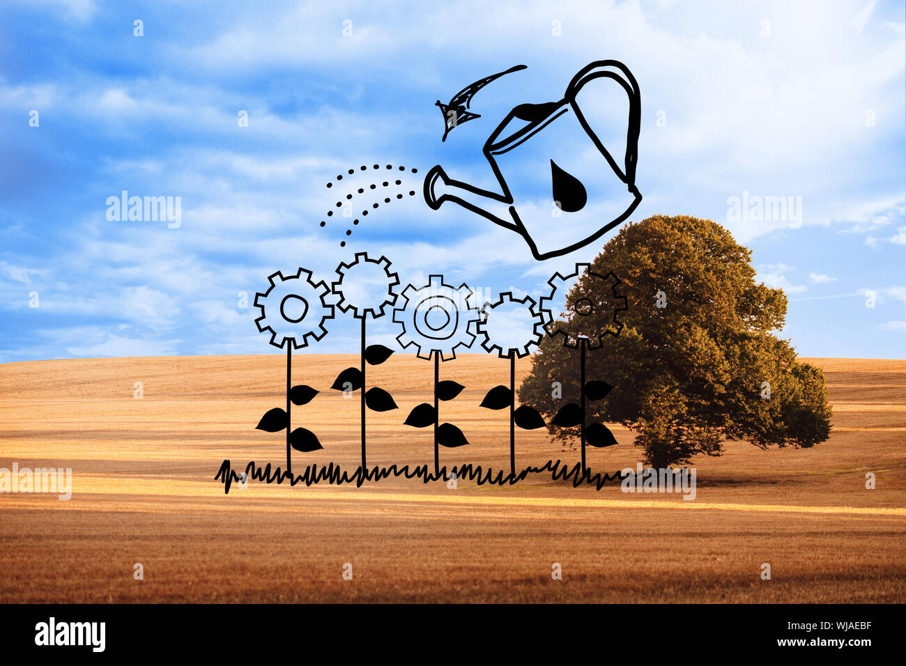 Cog flowers with can over countryside Stock Photo - Alamy