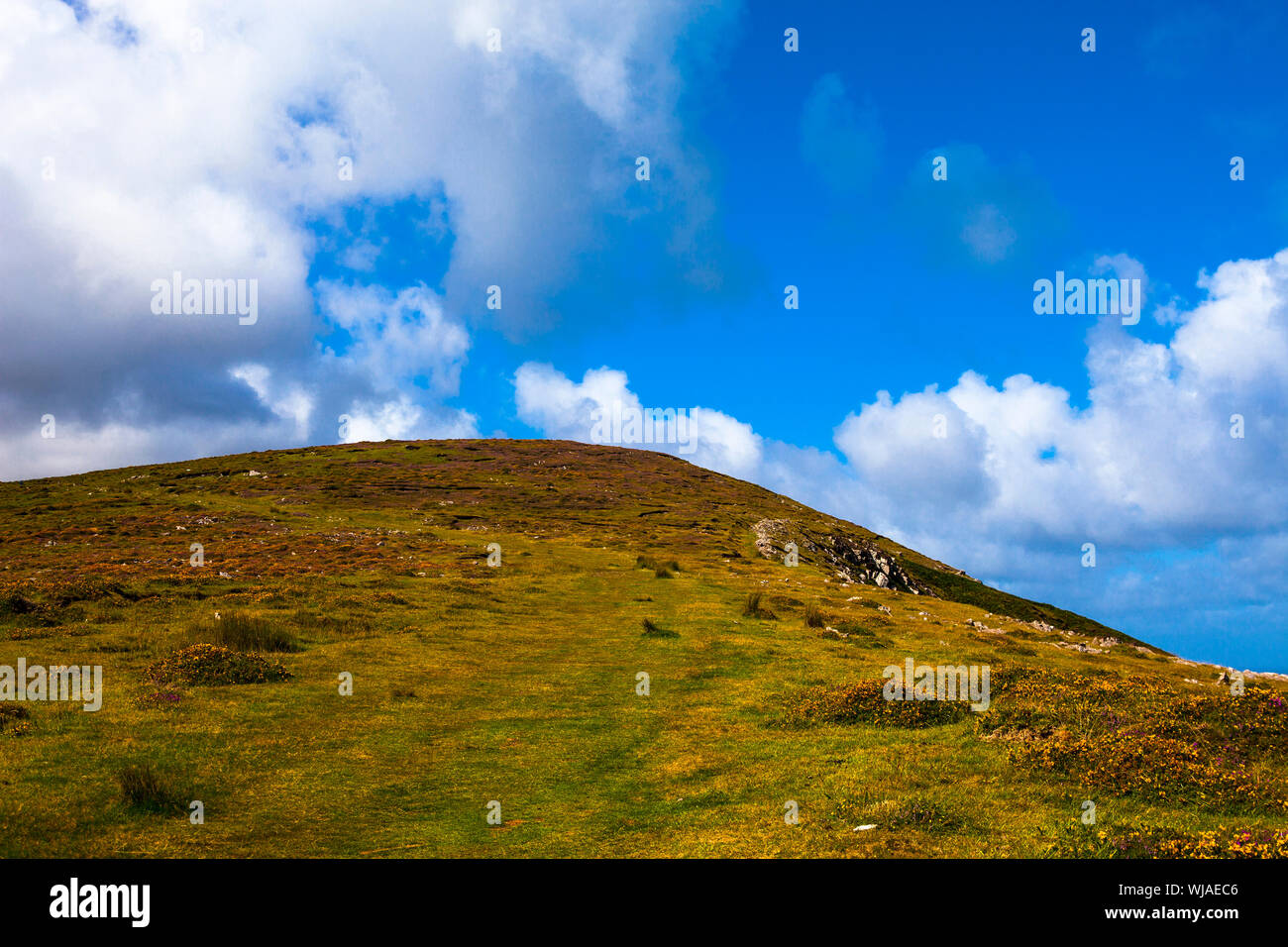 Brandon Point, Dingle Peninsula, Co. Kerry, Ireland Stock Photo - Alamy