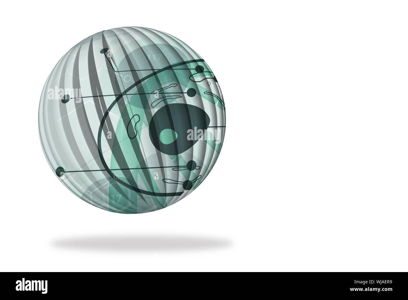 Biology diagram on abstract screen Stock Photo - Alamy