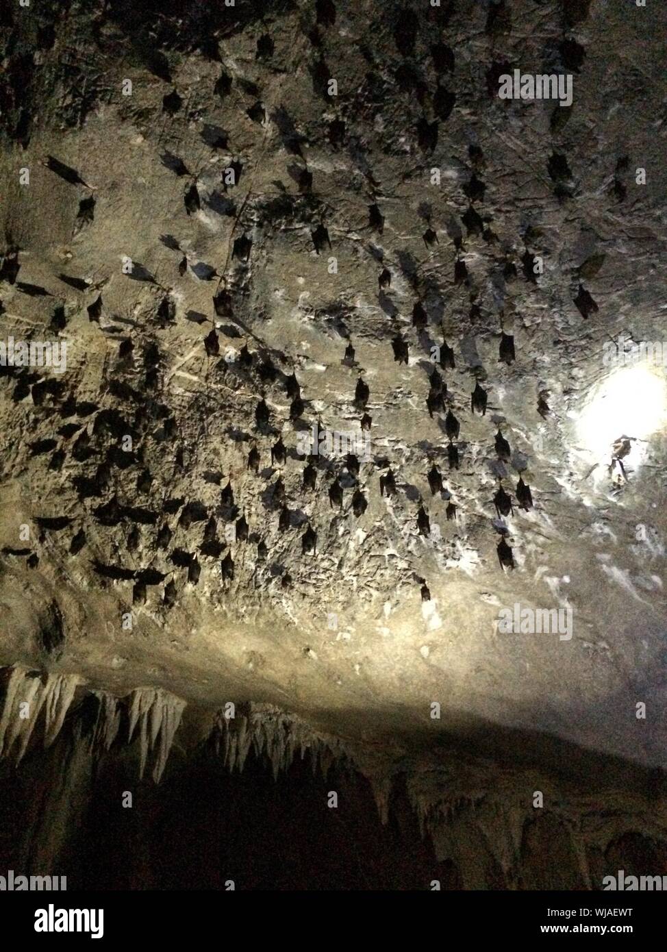 Sleeping cave hi-res stock photography and images - Alamy