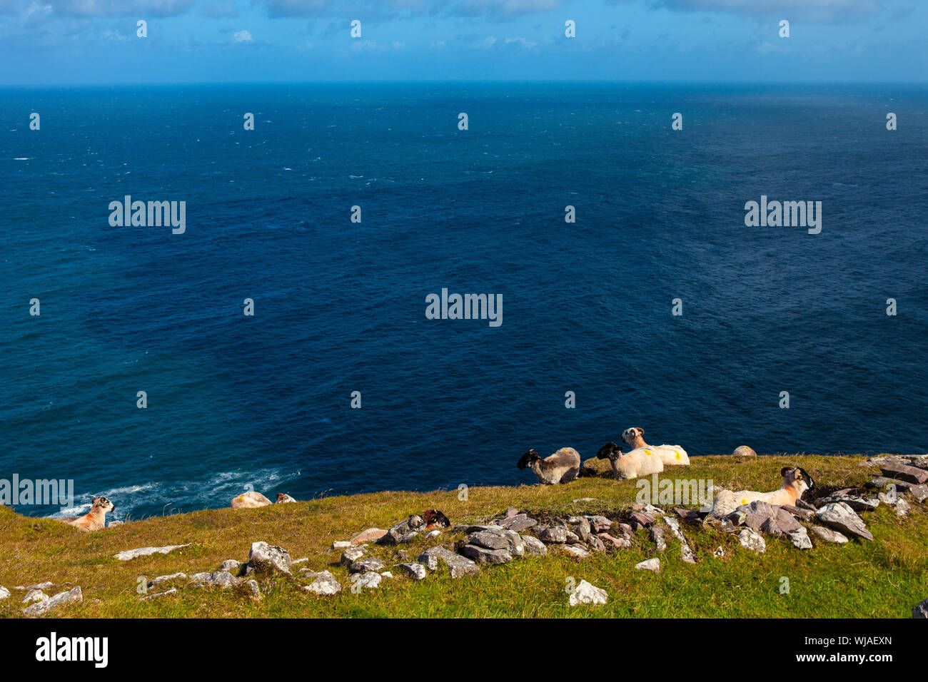 Brandon Point, Dingle Peninsula, Co. Kerry, Ireland Stock Photo - Alamy