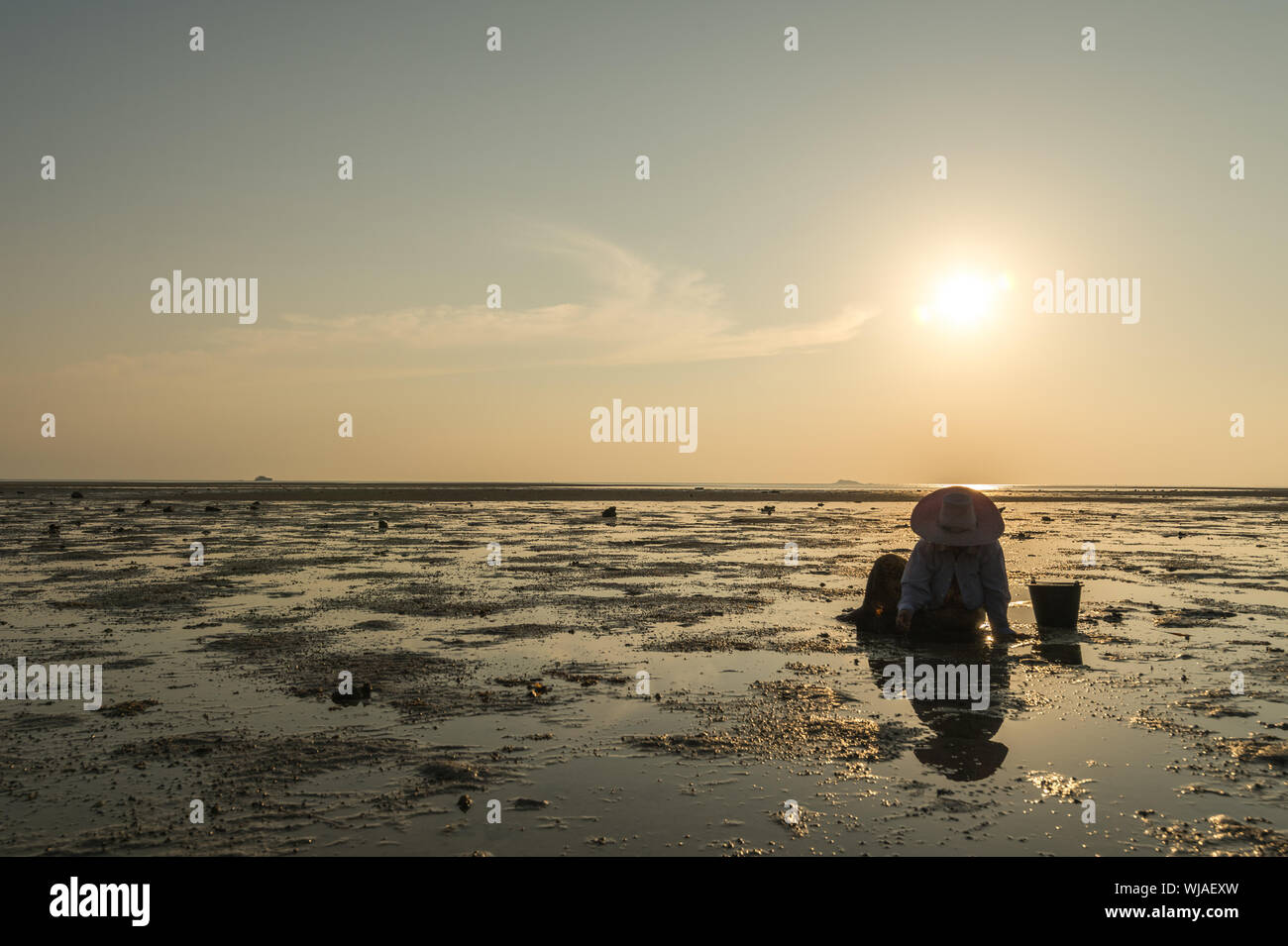 Collecting shells on beach hi-res stock photography and images - Alamy