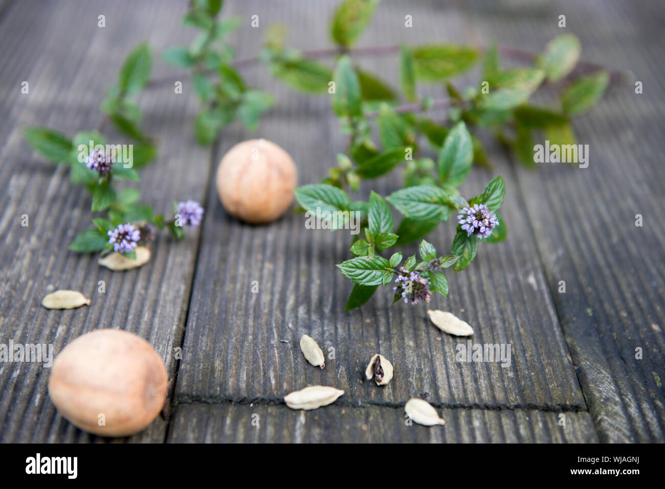 Cardamom plants hi-res stock photography and images - Alamy