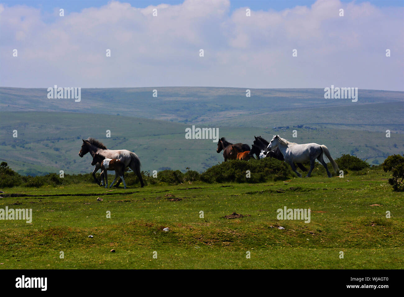 Disability access hi-res stock photography and images - Alamy