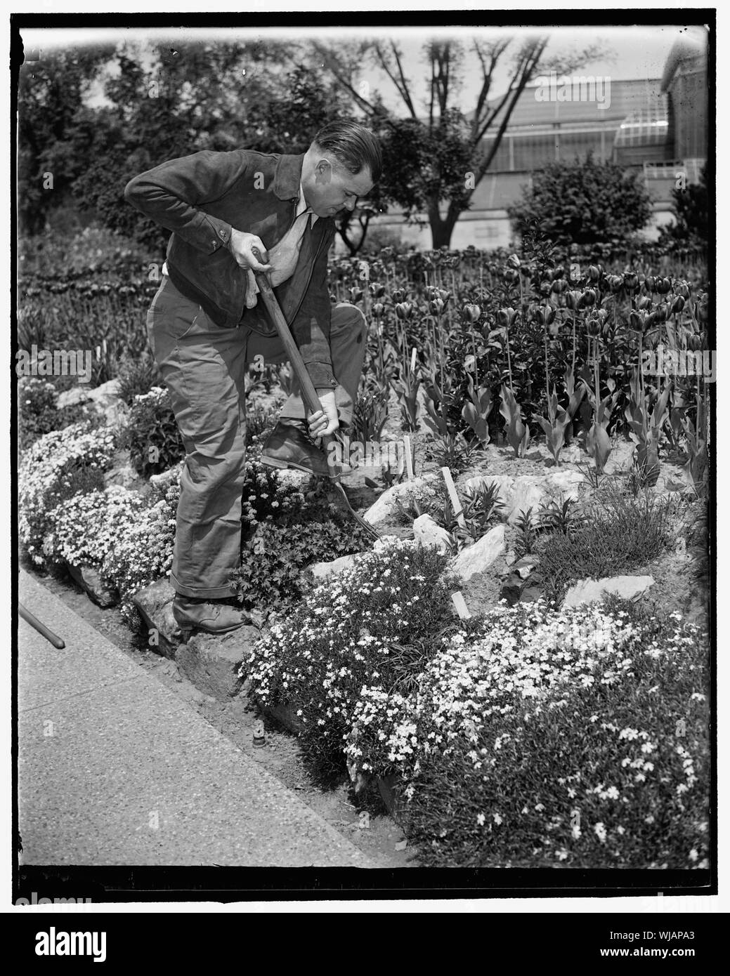 Picture gardens Cut Out Stock Images & Pictures - Alamy