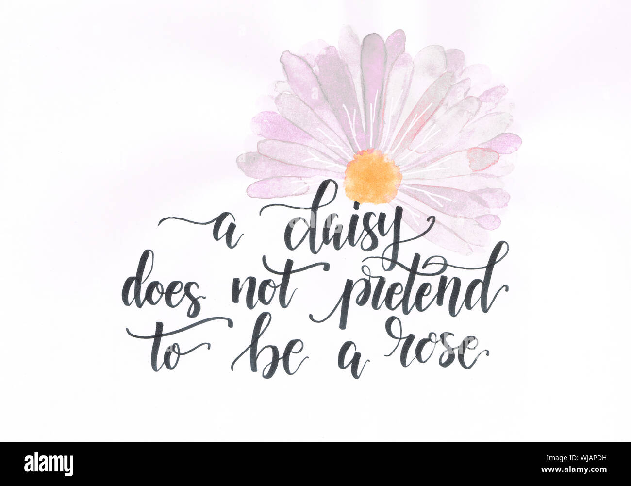 "A daisy does not pretend to be a rose" inspirational hand lettering ...