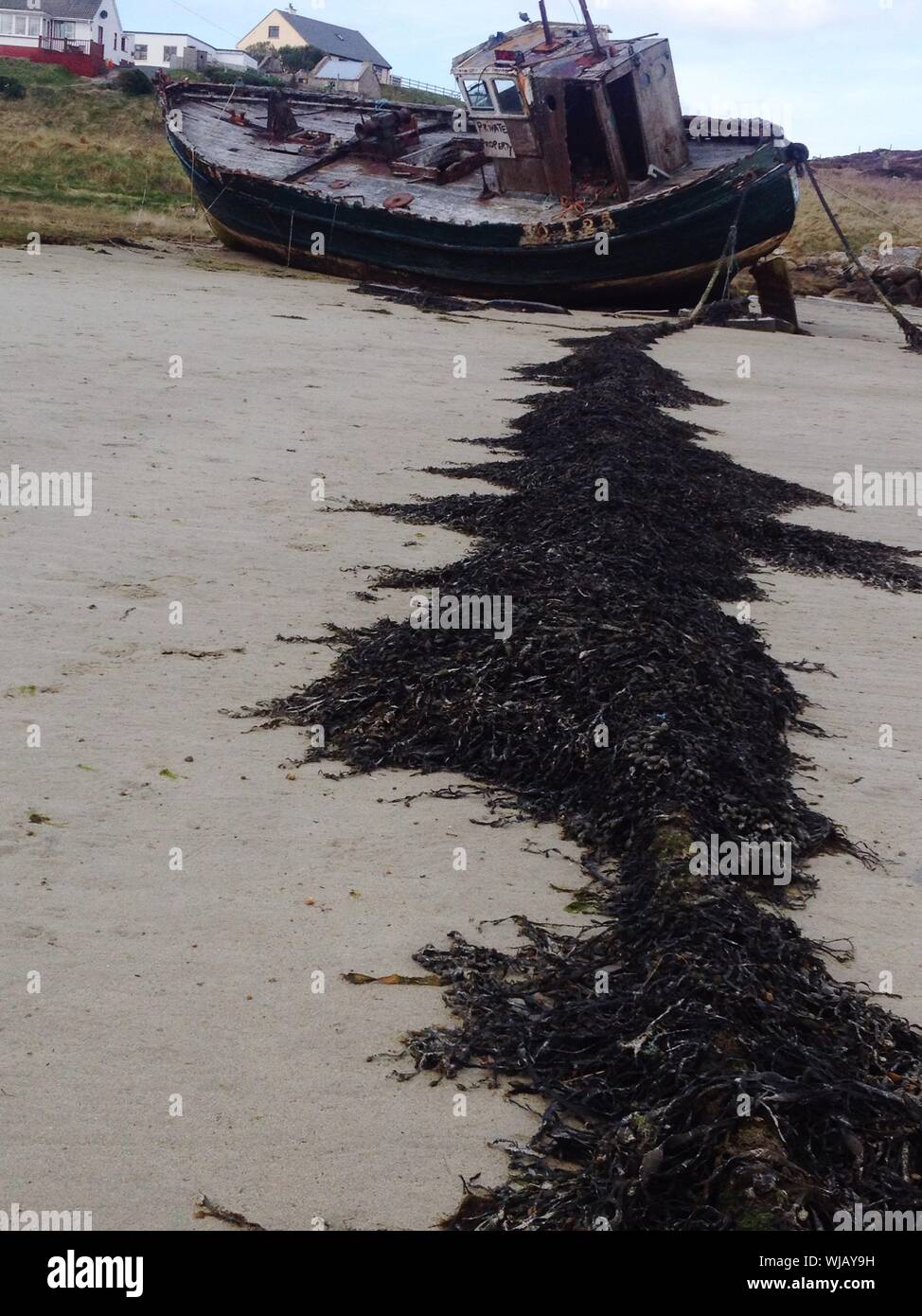 Vertical stranded hi-res stock photography and images - Alamy