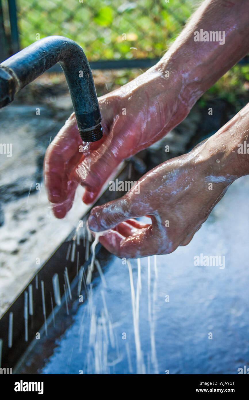 Cleaning hands hi-res stock photography and images - Alamy