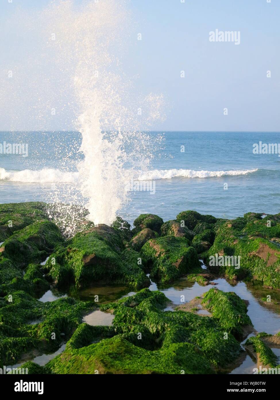 Moss Covered Rocks In Sea High Resolution Stock Photography and Images ...