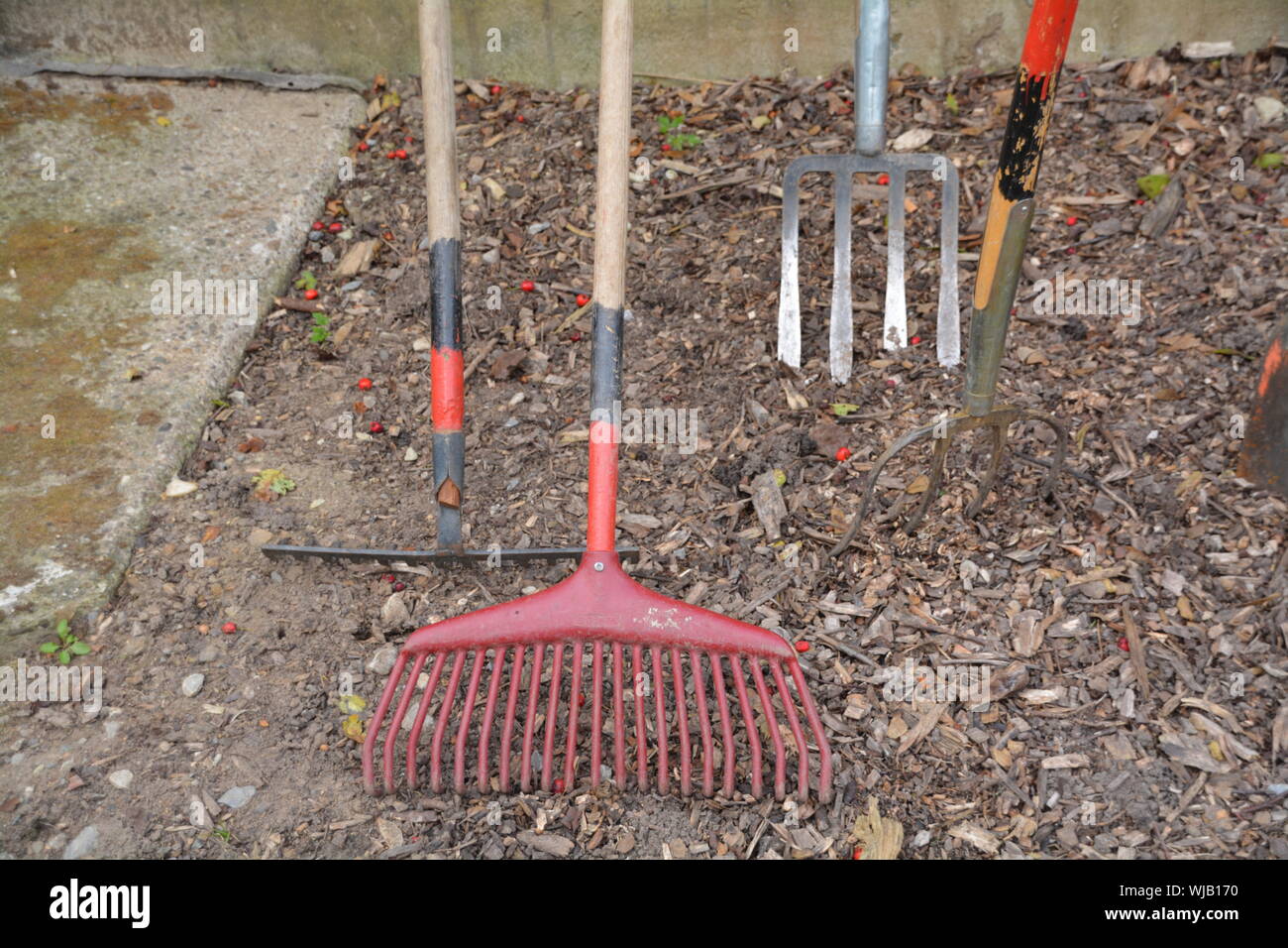 Group of red objects hi-res stock photography and images - Alamy