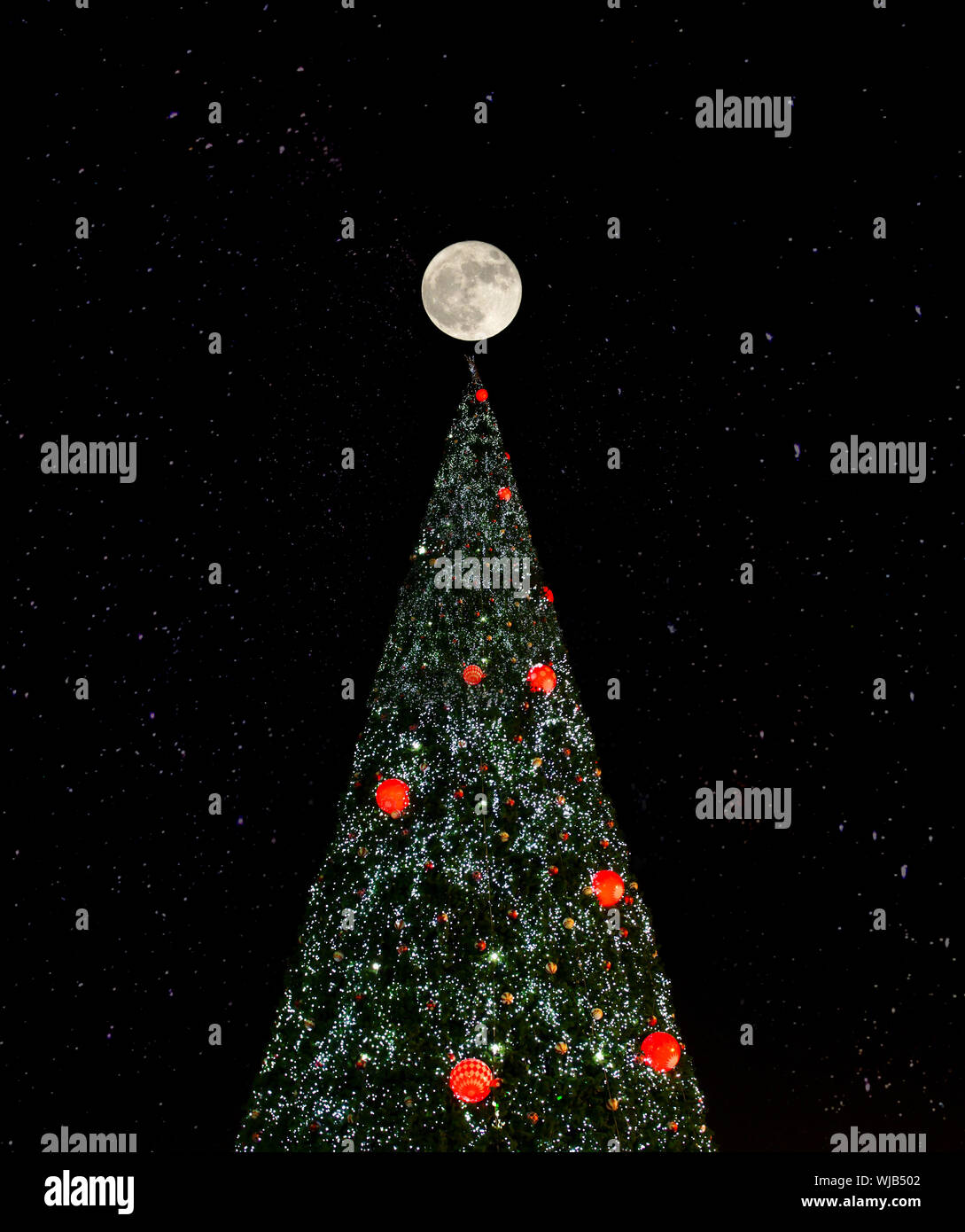 christmas tree in the night sky with full moon Stock Photo - Alamy
