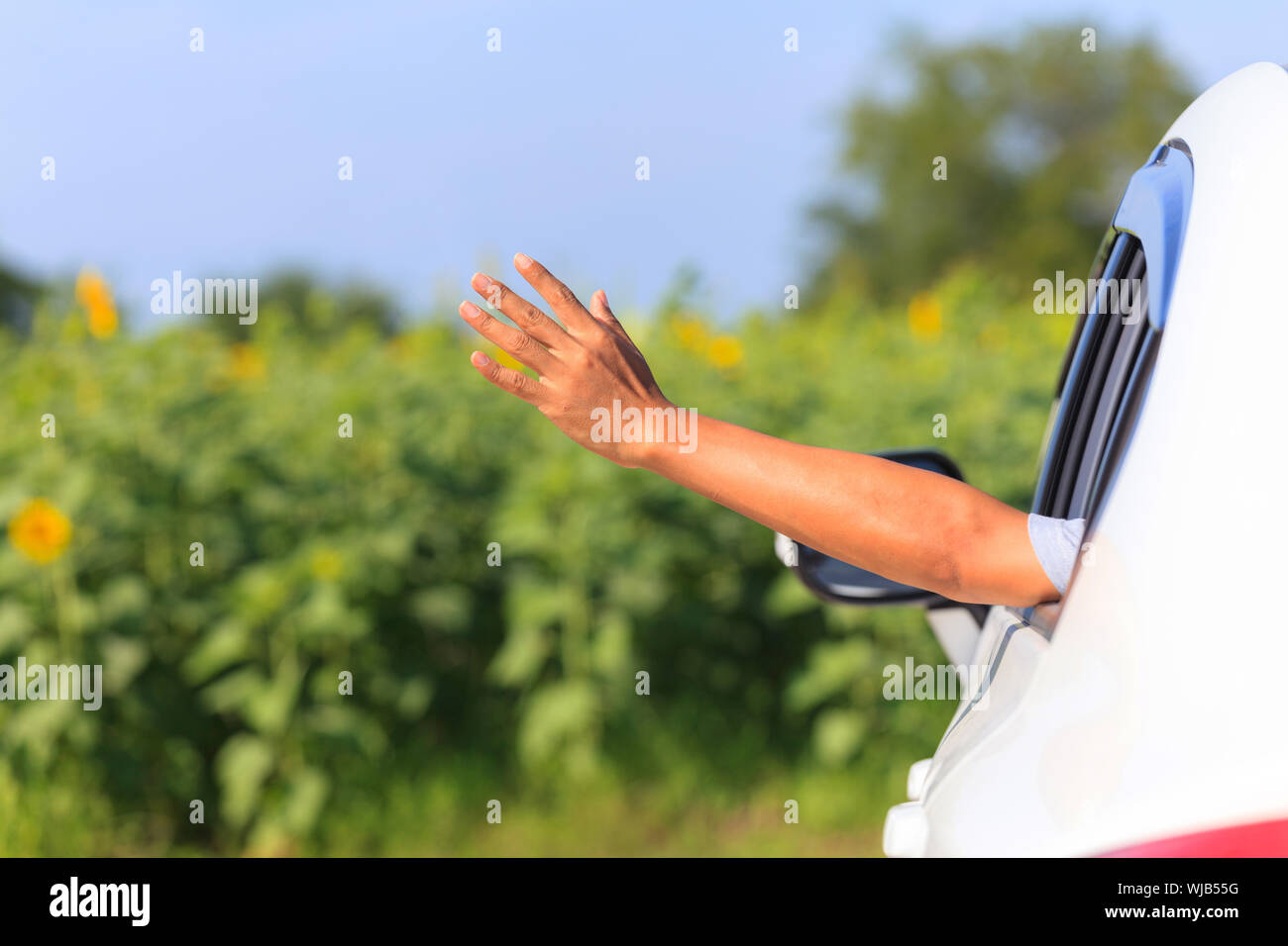 Person waving car hi-res stock photography and images - Alamy