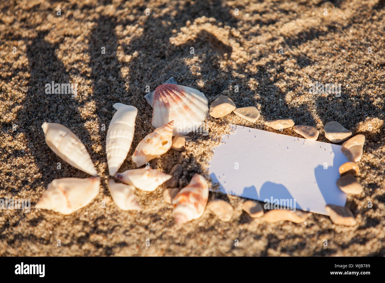 sailing boat and seashell in sand decoration closeup holiday background ...