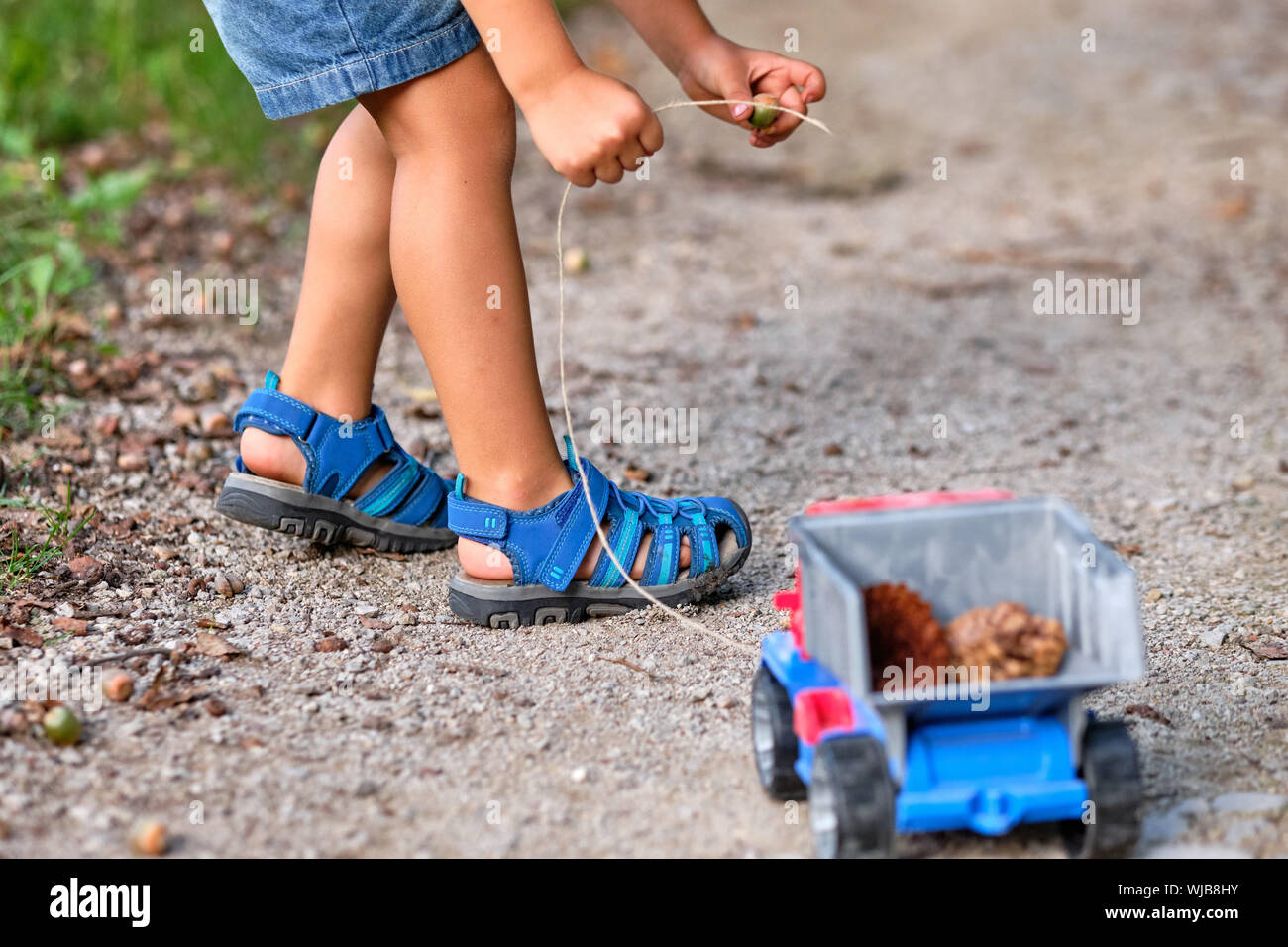 Rear view of the lower section of a 3-4 year old child in short ...