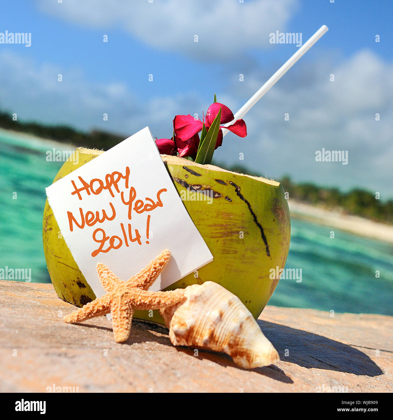 Coconut cocktail starfish tropical Caribbean beach refreshment and ...