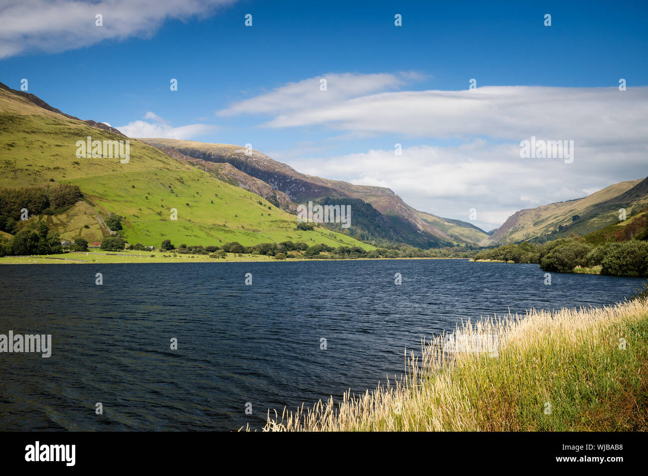 Tal-y-llyn lake, Wales Stock Photo - Alamy
