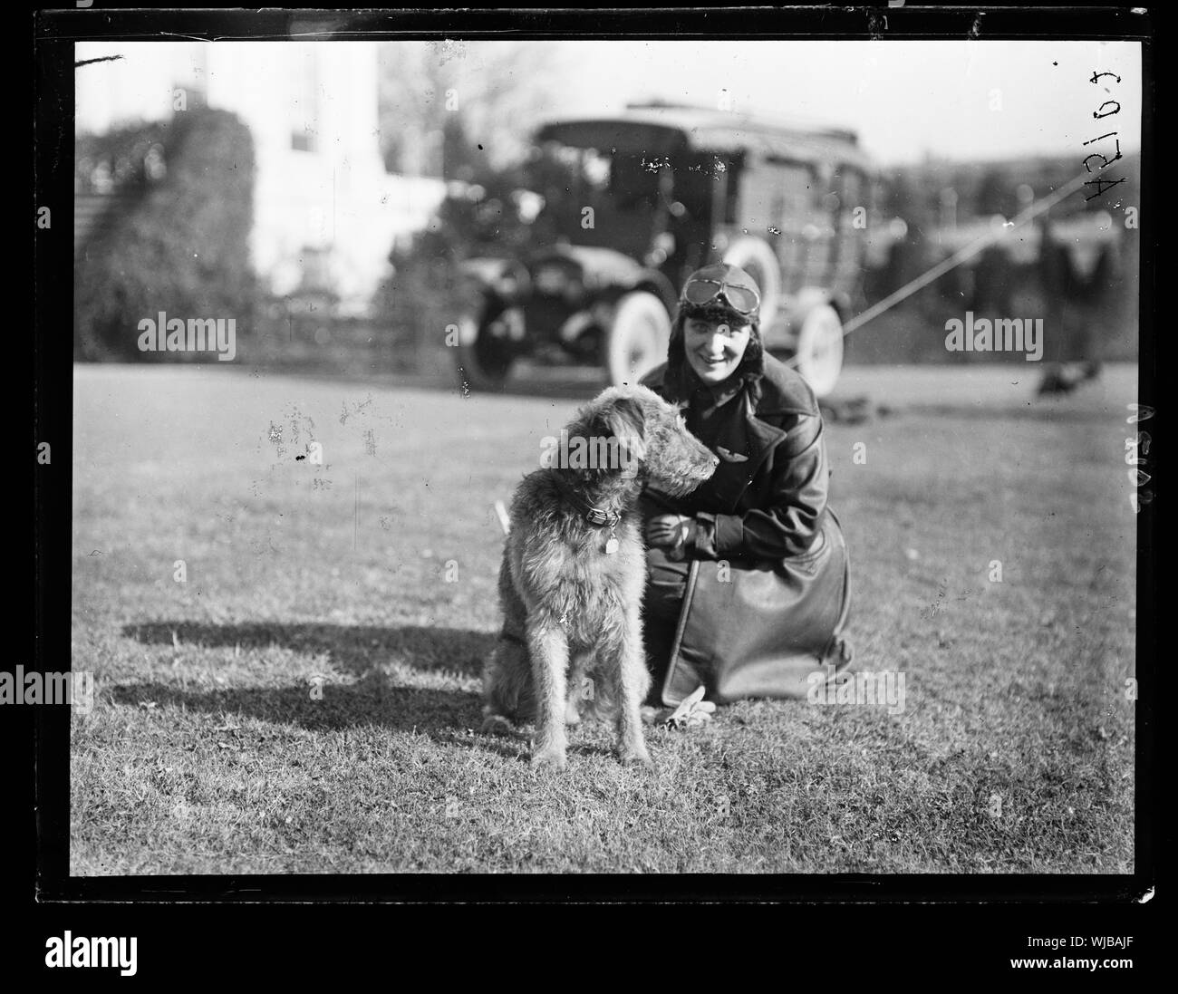 Harding's dog Laddie Boy at the White House, Washington, D.C Stock ...