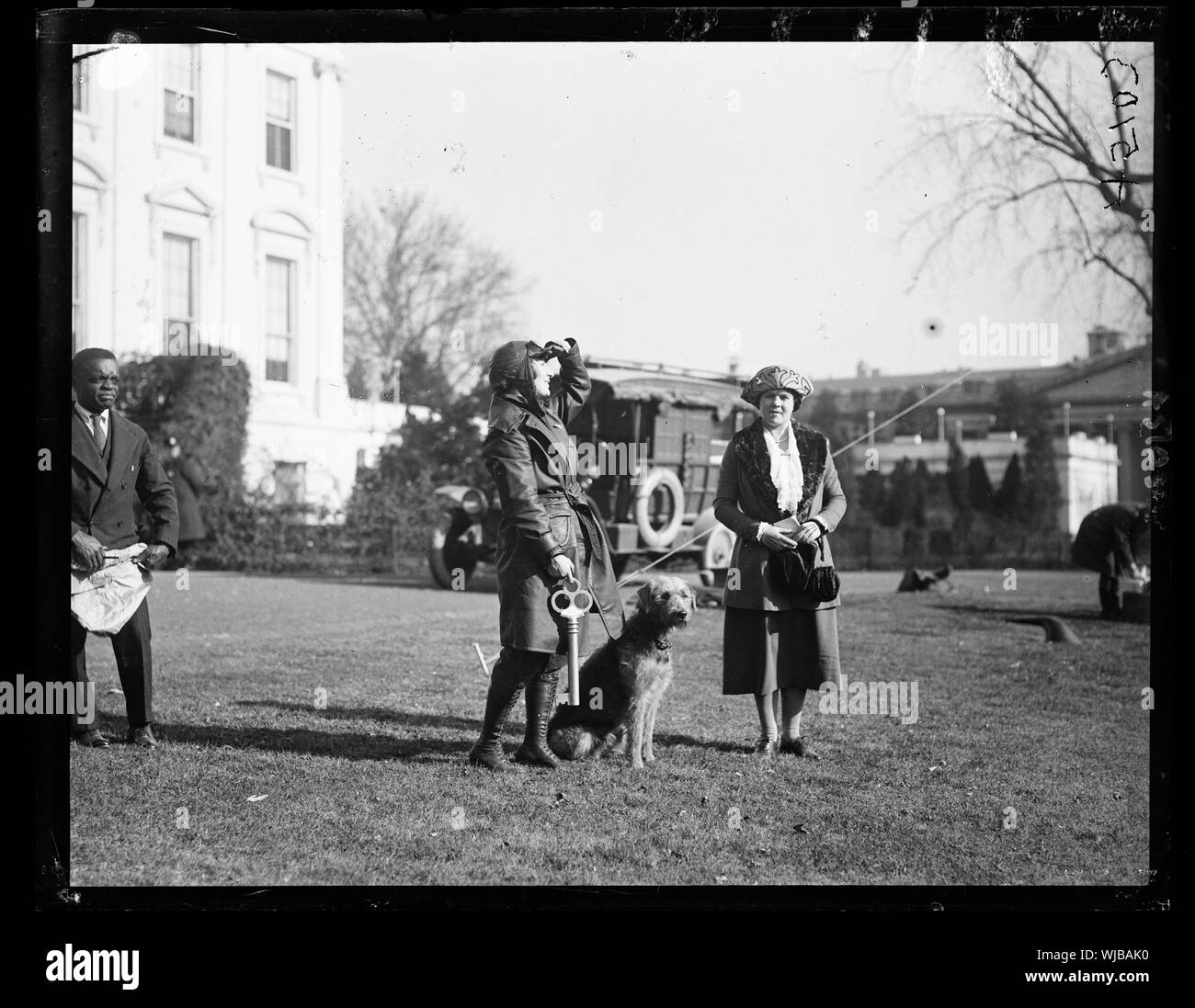 Warren g harding dogs hi-res stock photography and images - Alamy