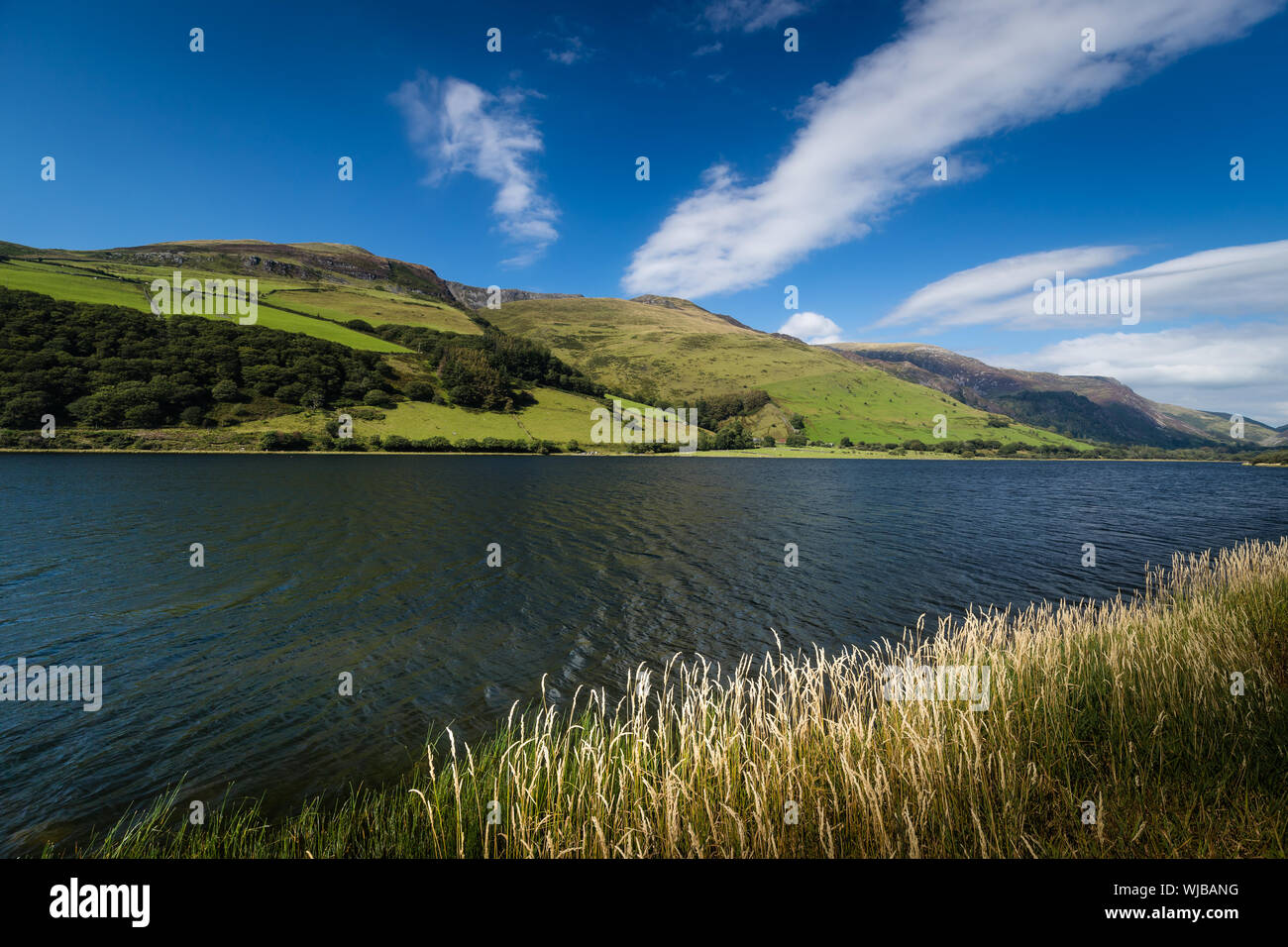Parc y llyn hi-res stock photography and images - Alamy