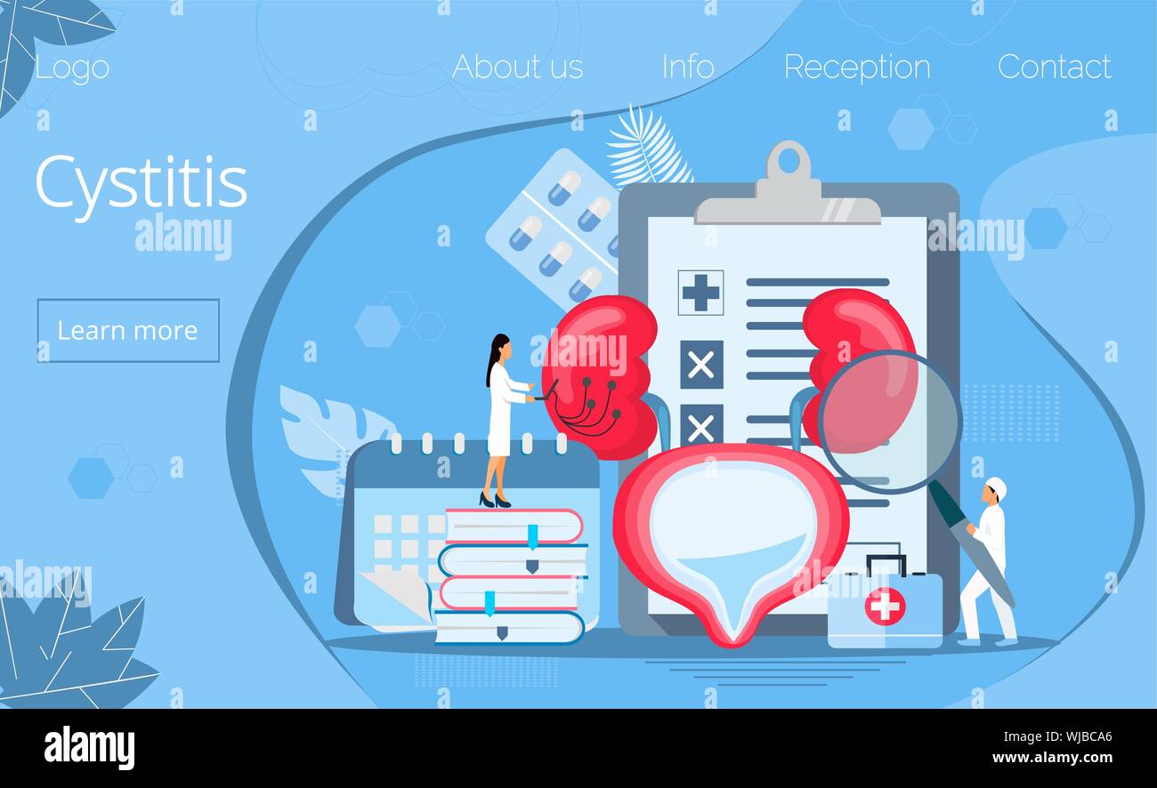 oncept of cystitis, urolithiasis, nephroptosis, renal failure Stock ...